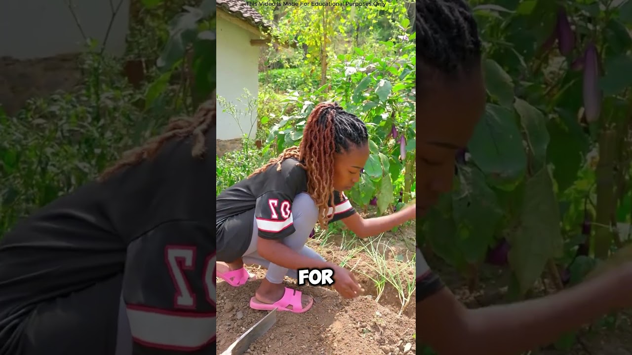 Istri Afrika Paling Menyayang di Tiongkok🤯 #pendek #yang #paling #dicintai #afrika #istri #Tiongk...