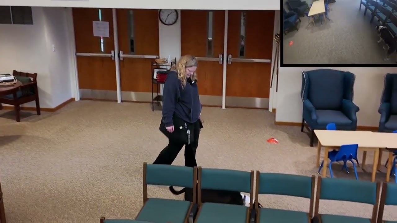 Amanda Porter   NW3   Sanctuary   3 6 26