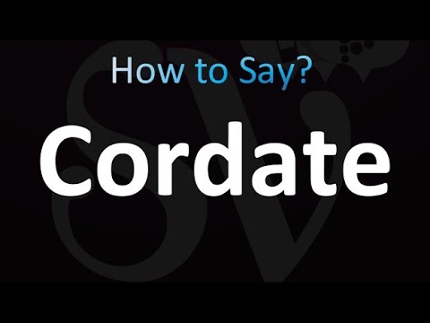 How to Pronounce Cordate (correctly!)