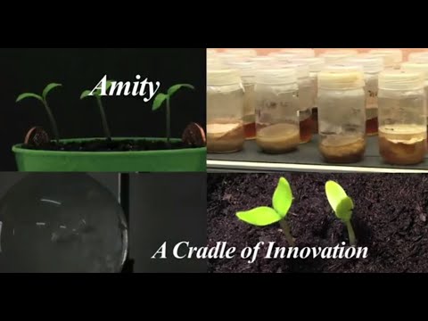 Amity Science, Technology & Innovation Foundation (ASTIF) Film