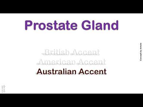 Prostate Gland How to Pronounce Prostate Gland in Australian, British, American Accent ?