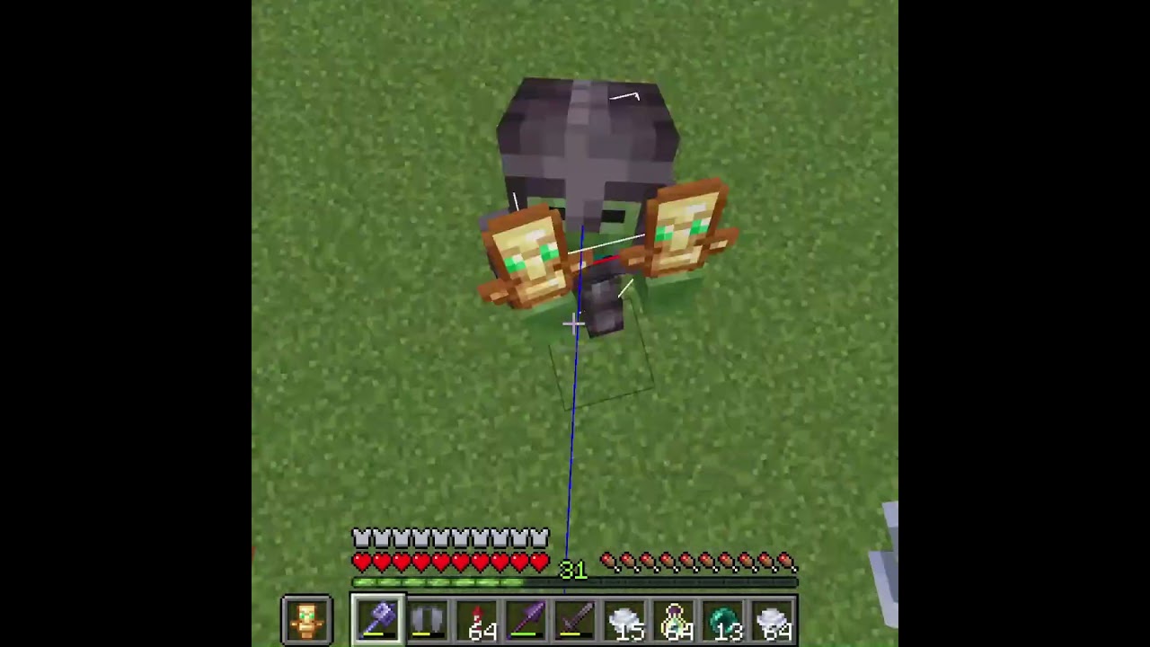 I learned PEARL CATCHING in Minecraft!
