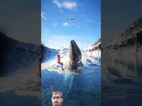 quran tilawat shorts tilawat quran best voice #shorts #youtubeshorts #viralshort