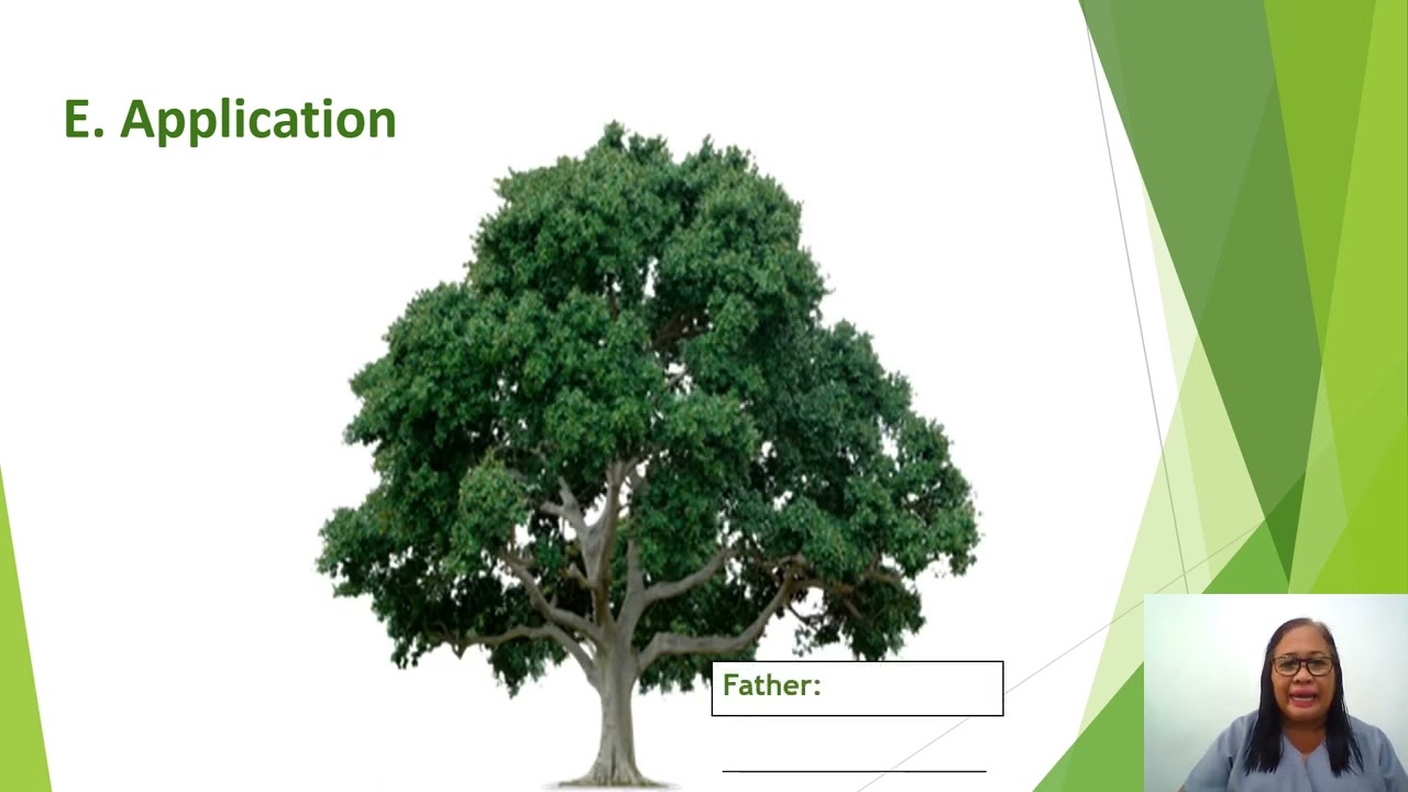 English 8   COT 1 Final