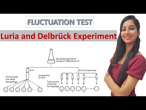 FLUCTUATION TEST I Luria and Delbrück experiment I Induced and ...