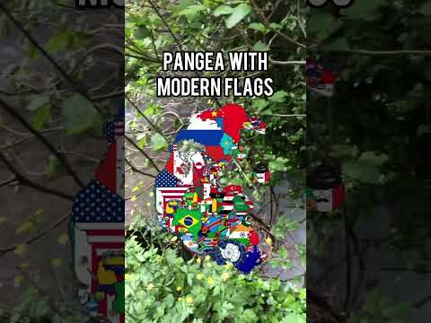 Pangea with modern flags #short #world #map #fyp #subscribe #viral #geography