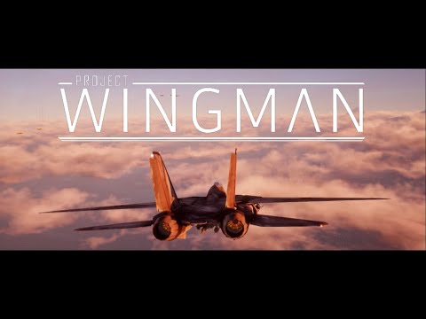 Steam Community :: Video :: 1st Time Playing Project Wingman | Mission ...