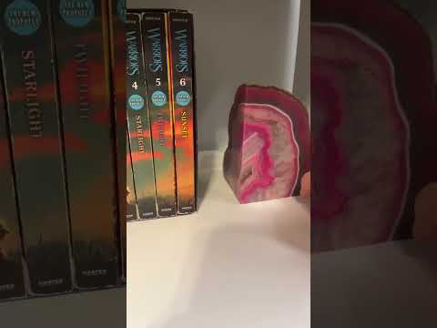 Asmr bookshelve stocking #books #bookcovers #2023 #reading #asmr #booktube #booktok #bookshelf