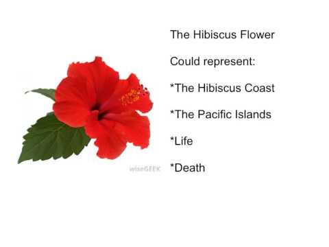 Symbolism Explained