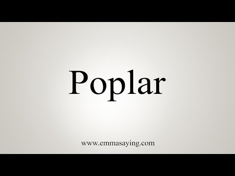 How To Say Poplar