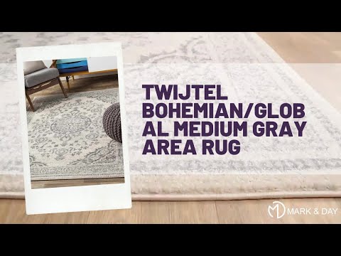 Twijtel Bohemian/Global Medium Gray Area Rug