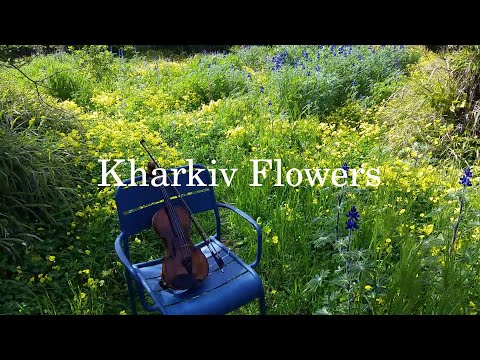 Kharkiv Flowers