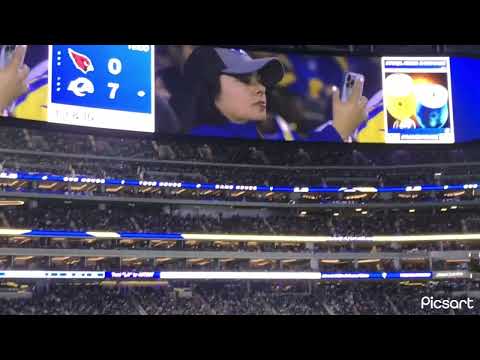 Sneak peek of a 700$ VIP ticket of NFL Football Game! Rams vs Cardinals Wild Card