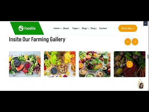 Foodila- Organic Food & Store WordPress Theme