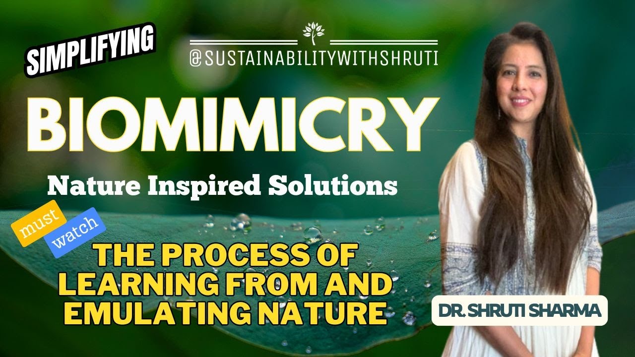 Biomimicry I Nature Inspired Solutions I UNSDG I Biomimetic I Systems Thinking I Climate Change I