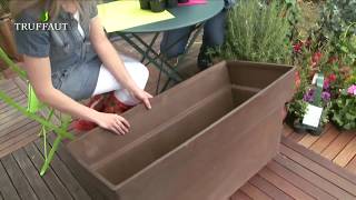 Un jardin fleuri tout l'été : adoptez ces vivaces à fleurs