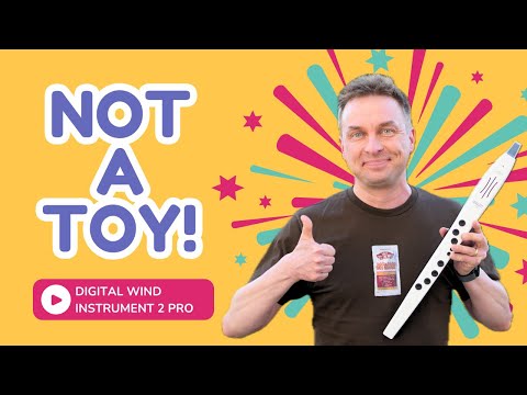 Digital Wind Instrument 2 Pro – NOT a toy!