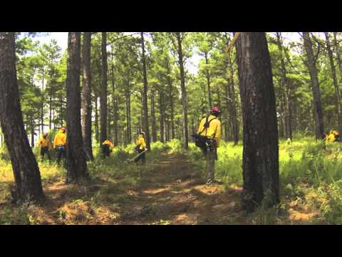 Wildland Firefighter Training