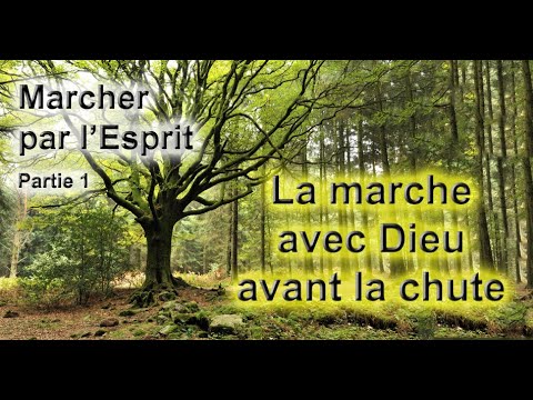 Marcher par l’Esprit – Partie 1 – La marche avec Dieu avant la chute ...