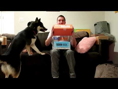 BARKBOX SUPER CHEWER VS BULLYMAKE Unboxing