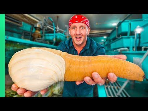 Giant CLAM Challenge!!! | CHINESE CHEF vs VIETNAMESE CHEF