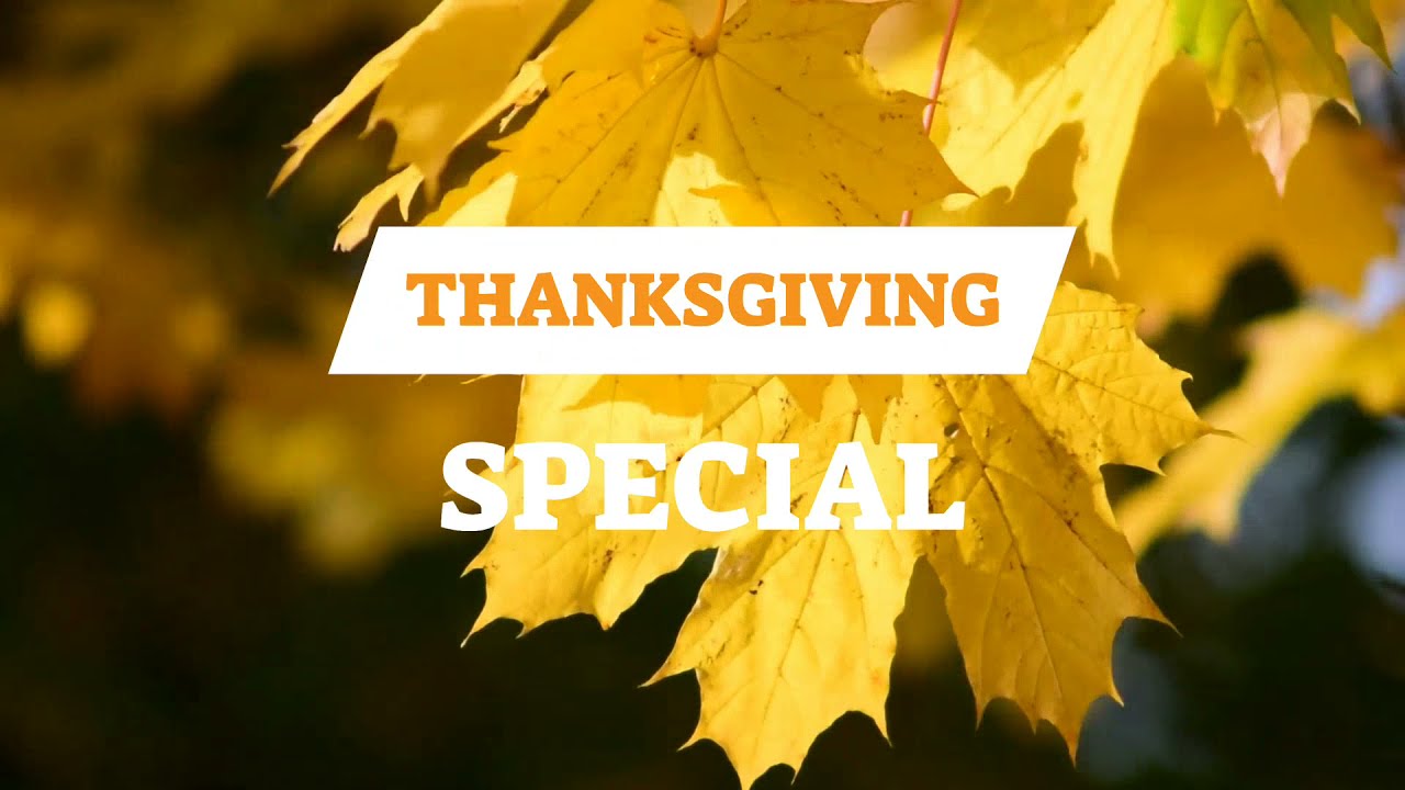 Free Thanksgiving Promotion Video Template (Customizable) - FlexClip