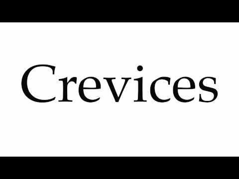How to Pronounce Crevices