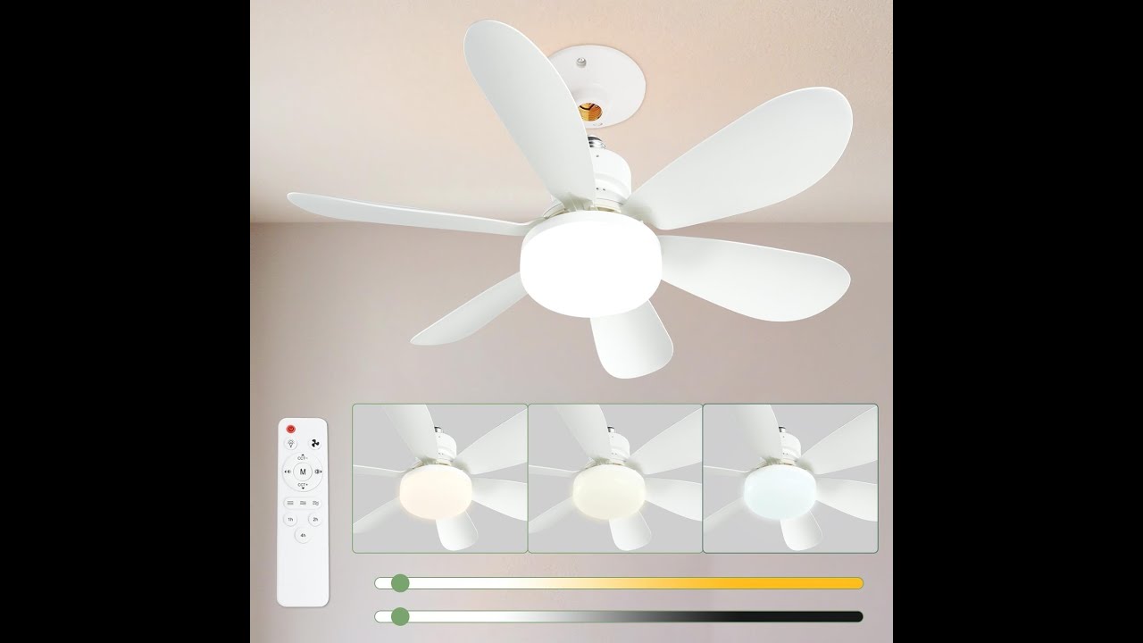 E26 20.5in Socket Fan Light with Remote