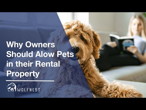Why Owners Should Allow Pets in their Rental Properties