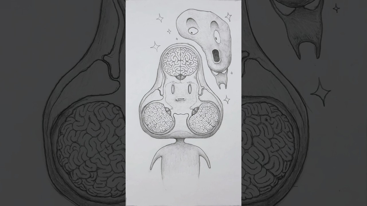 Wawa’s BRILLIANT Anatomy #foryou #art #fyp