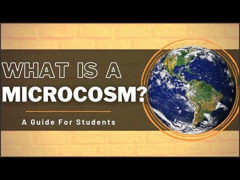 What Is A Microcosm?