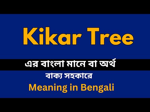 Kikar Tree Meaning in Bengali /Kikar Tree শব্দের বাংলা ভাষায় অর্থ অথবা মানে কি
