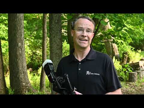 Using fill flash for outdoor portraits - Today's Photo Minute Video #28