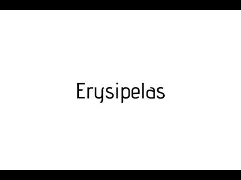 How to pronounce Erysipelas / Erysipelas pronunciation