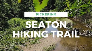 3 Best Hiking Trails in Pickering, ON - Expert Recommendations