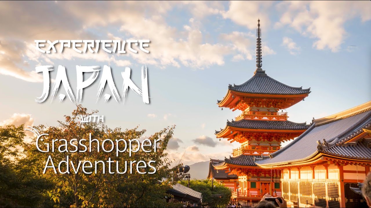 23 Basic Japanese Phrases for Your Next Vacation to Japan | Grasshopper ...