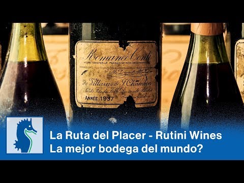 Robert drouhin y su bodega personal excepcional pronto a la venta en Sotheby´s