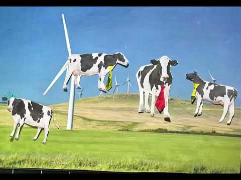 collage stop motion. | poppy cross l2 photography