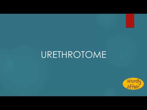 Urethrotome Meaning