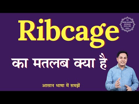Ribcage meaning in Hindi | Ribcage ka matlab kya hota hai | English to hindi