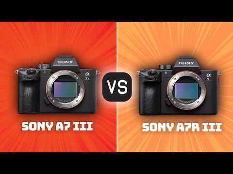Sony A7 III vs Sony A7R III: Which Camera Is Better? (With Ratings & Sample Footage)