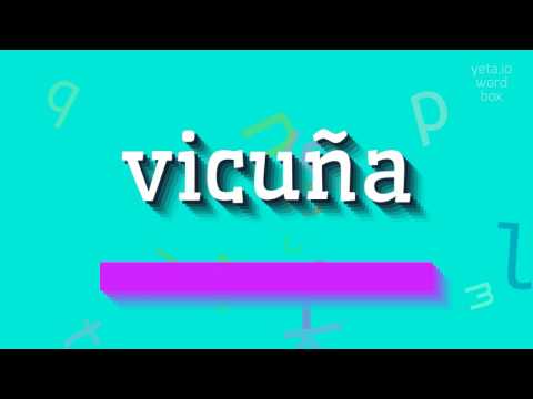 How to say "vicuña"! (High Quality Voices)