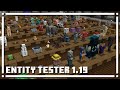 Entity Tester Minecraft Map