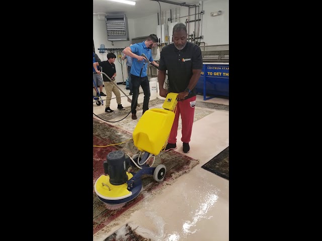 Carpet Cleaning in Raleigh Durham by Treo Services