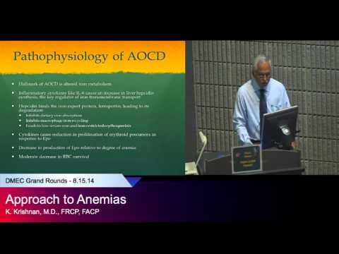 Approach to Anemias - K. Krishnan, MD, FRCP, FACP