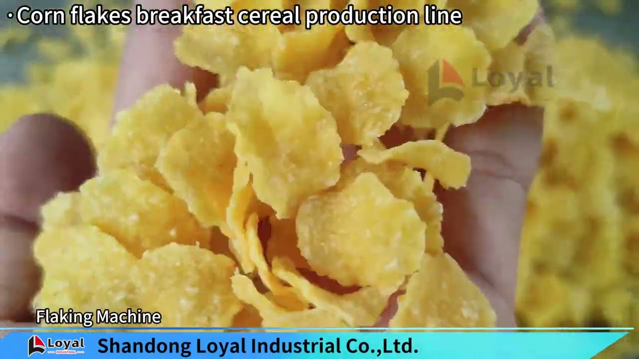 Customizable Corn Flakes Production Line for Diverse Product Requirements