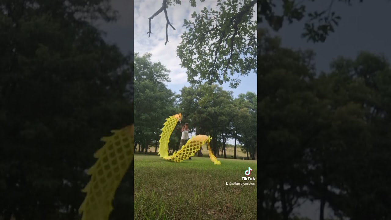 Dragon Poi First Time In Daylight