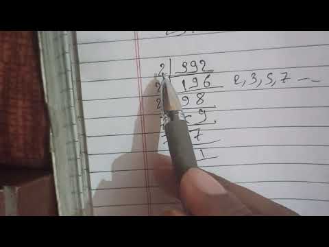 prime factors of 392