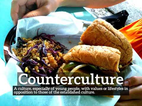 What is Counterculture? | How Does Counterculture Look? | How to Say Counterculture in English?