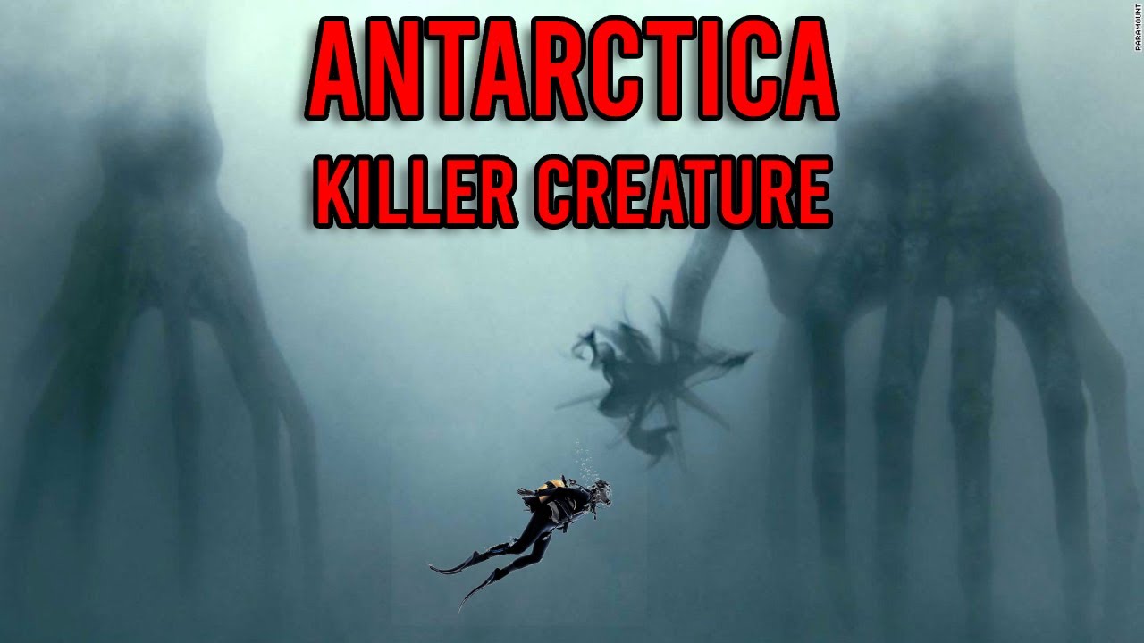 Organism 46B Story Explained